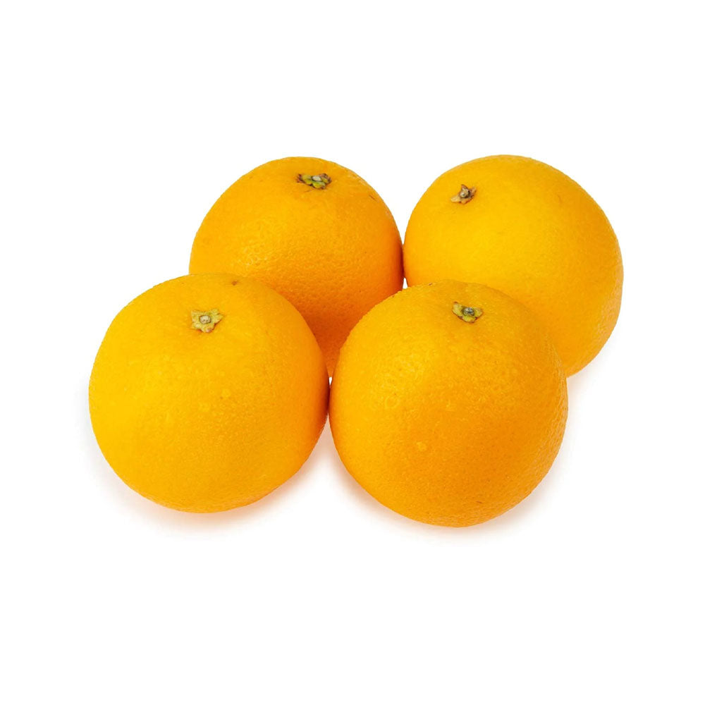 Oranges Imported 480 - 520g| Fresh Fruits Online - Chennai Grocers